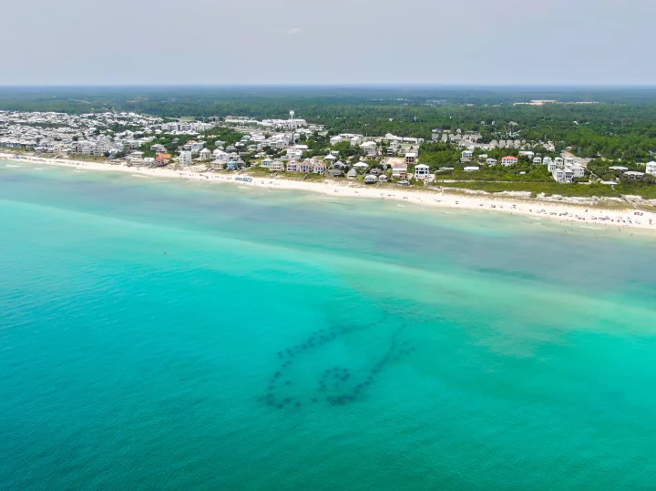 Inlet Beach Rentals | Southern Vacation Rentals